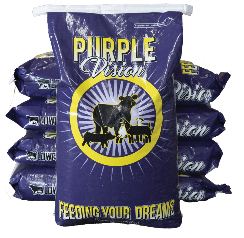 Purple Vision Sheep – RR Farm and Feed