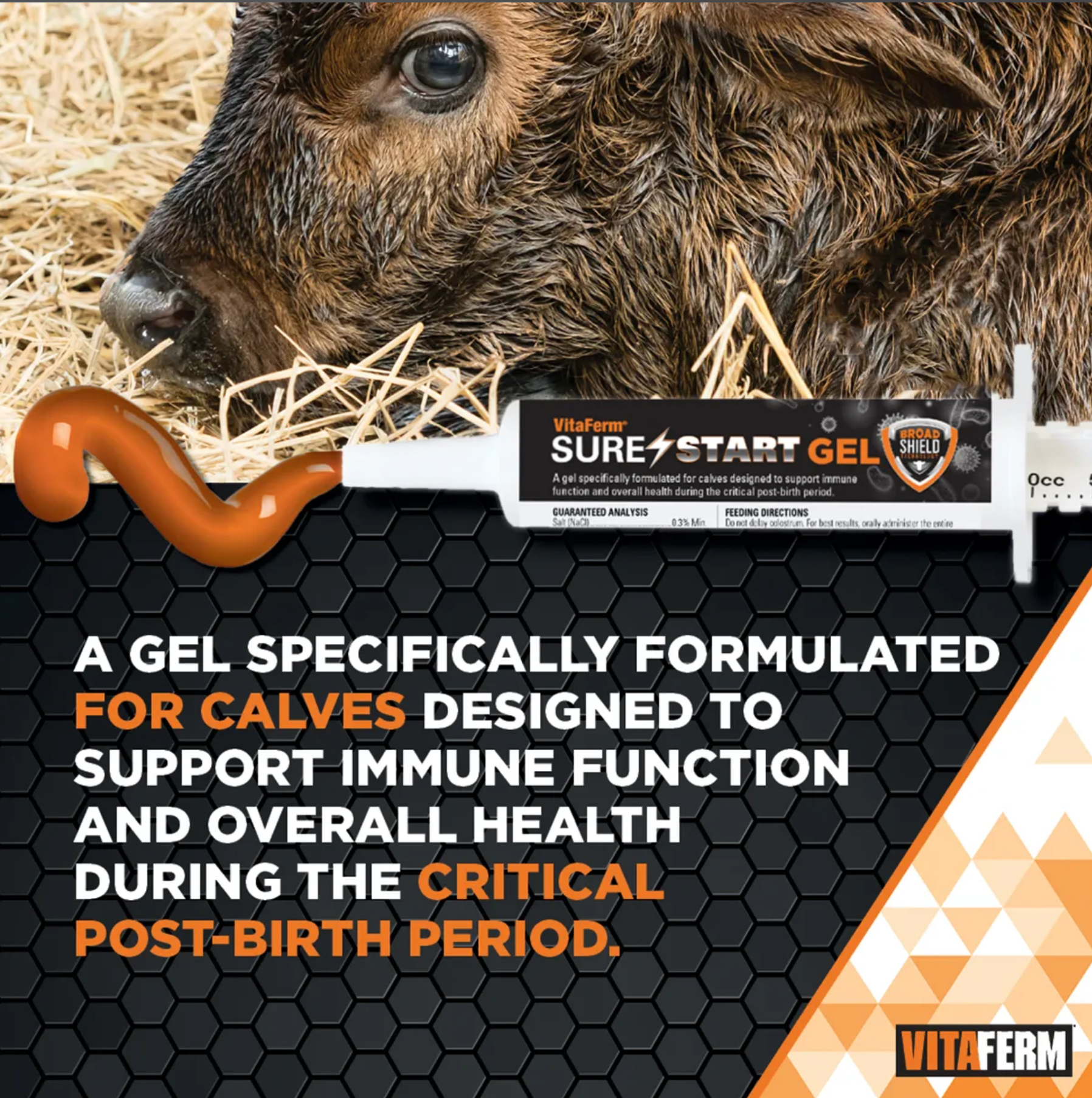 VitaFerm Sure Start Gel – RR Farm and Feed